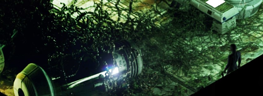 The Brotherhood (Stasis, Beautiful Desolation) – Interview – Tom's ...