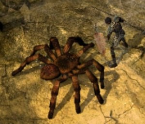 My Top 10 RPGs with Custom Parties on PC – Tom's Gaming Vault